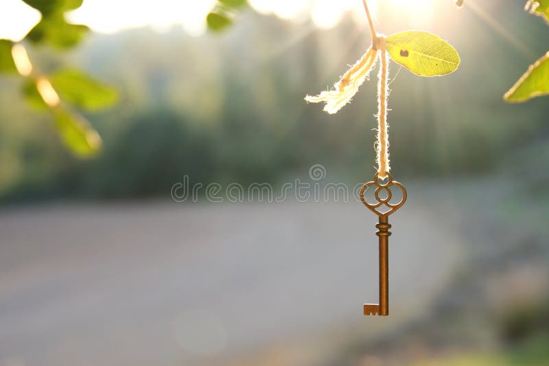 Key Hanging in Forest in Sunset Light Stock Photo - Image of business ...