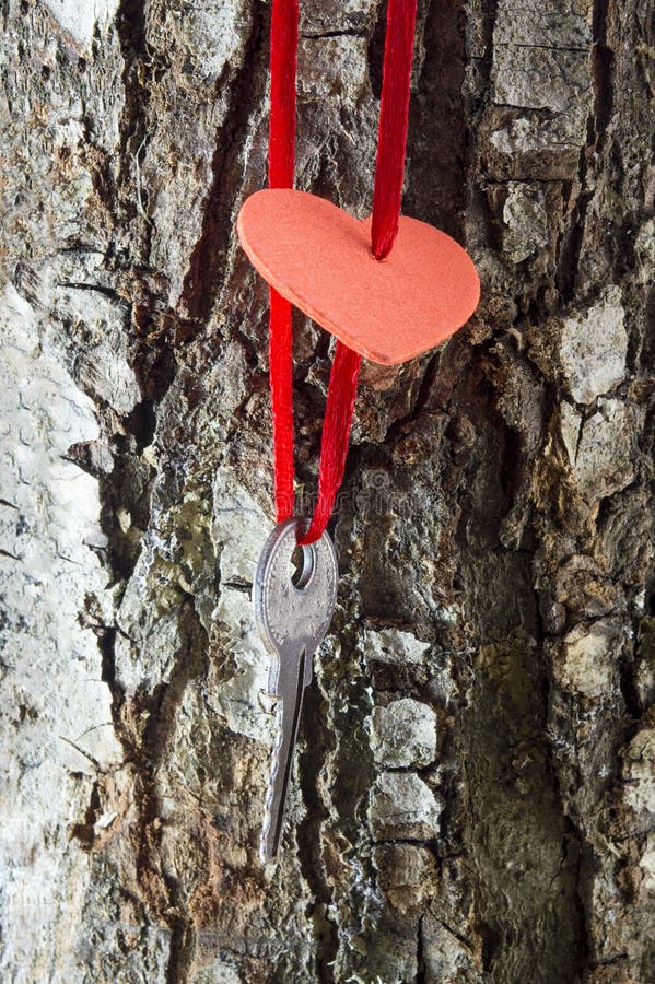 Key Hanging from a Heart on a Tree Stock Image - Image of brown, board ...