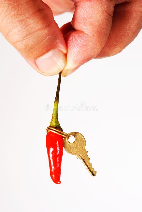Key Ingredient stock photo. Image of traditional, spicy - 15788578