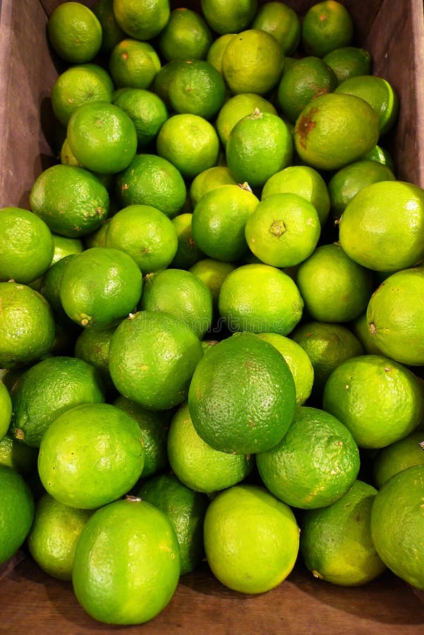 Key lime stock photo. Image of brown, colourful, paper - 16747018