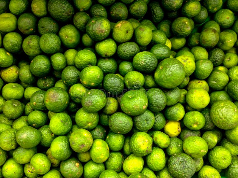Key Lime - Fresh Fruit Vegetabels after Harvest Stock Image - Image of ...