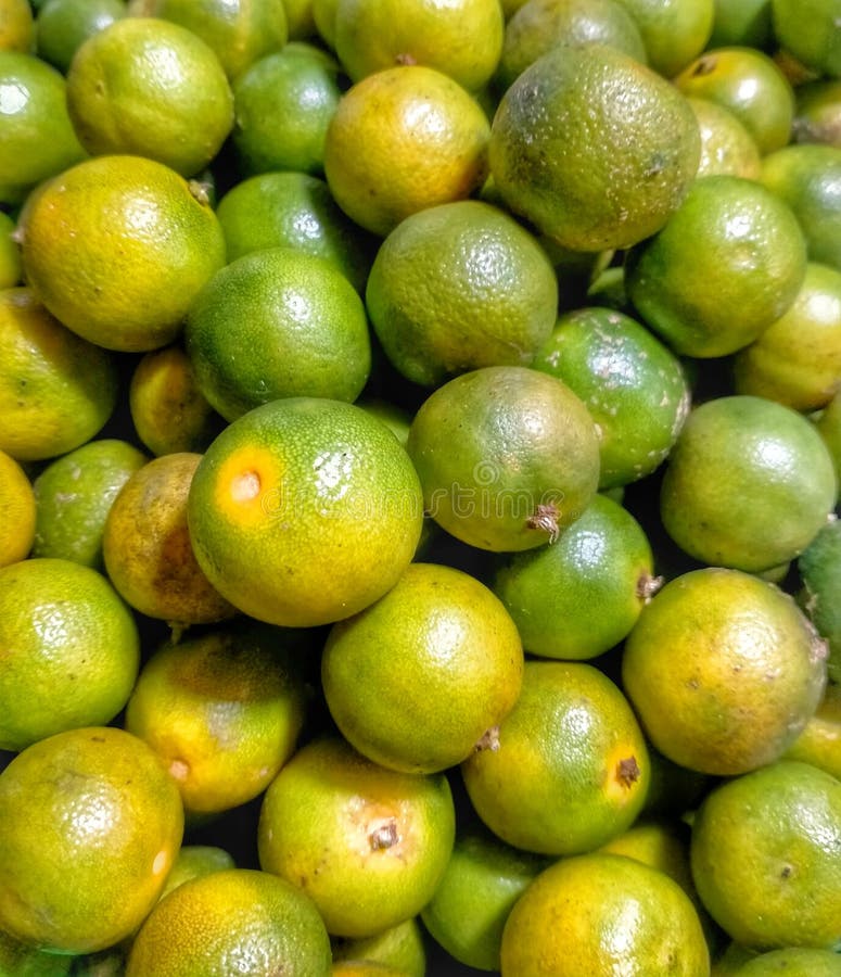 Key Lime Fruits Close Up in the Market Stall Stock Photo - Image of ...