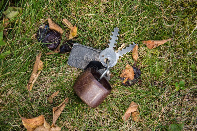 Key and lock. stock image. Image of plum, keys, home - 78210275