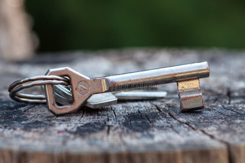 Key on a log stock photo. Image of iron, macro, metal - 128265120