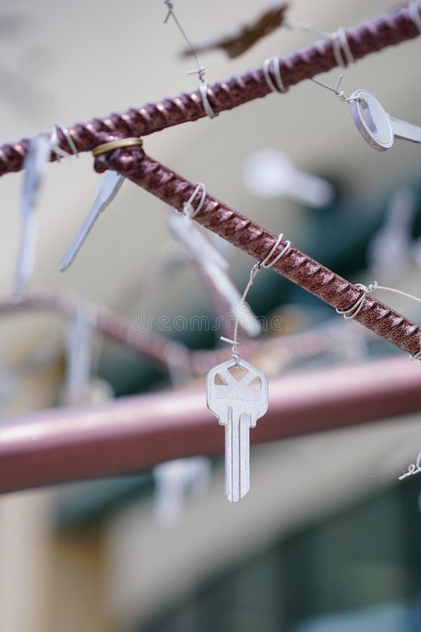 Metal in Tree stock photo. Image of acres, cellar, flying - 90059338