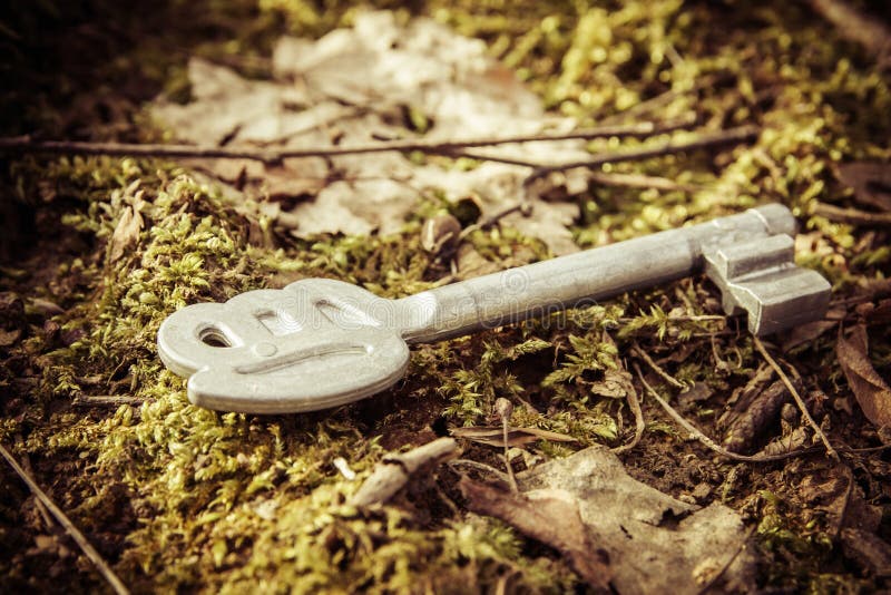 Key on moss stock image. Image of green, background, nature - 38057161