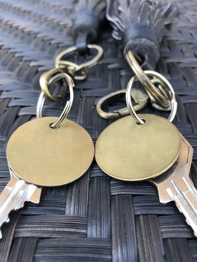 2 Key Rings with Empty Bronze Plate Stock Image - Image of ring, rings ...