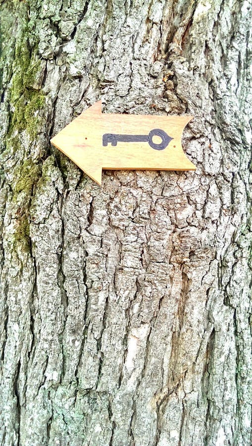 Key sign on tree stock photo. Image of arrow, painted - 42032236