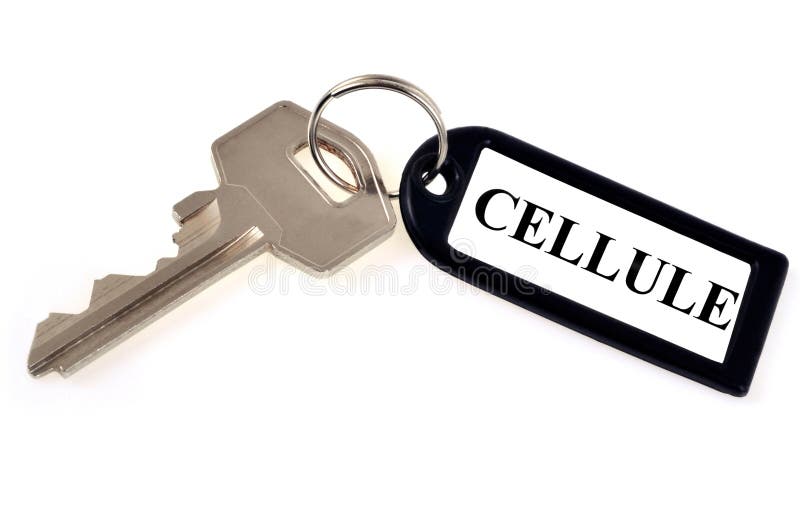 The key to the cell stock image. Image of close, open - 139366729