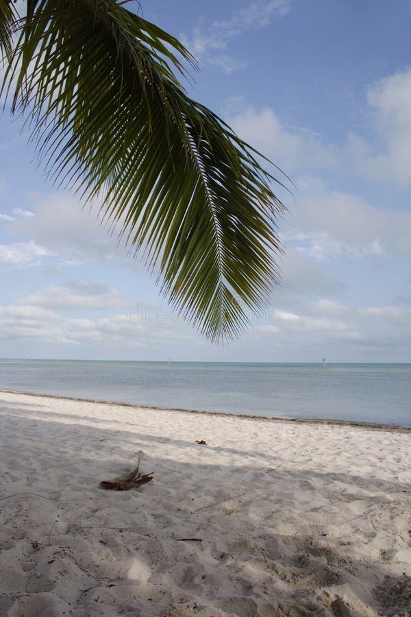Key West Picture. Image: 5097275
