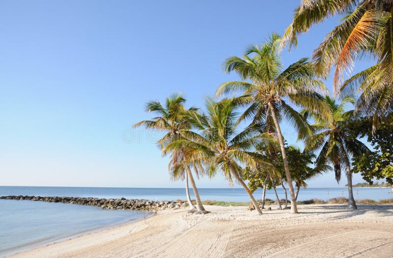 Key West Beach in Florida stock photo. Image of sunshine - 12332638