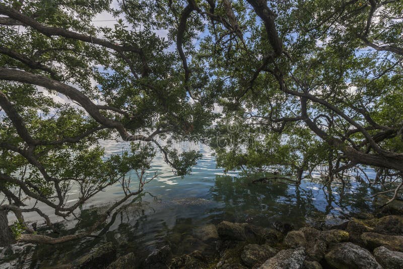 Key West Beaches in Florida Stock Photo - Image of west, turquoise ...