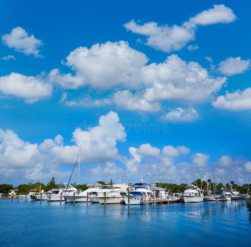 Key West Florida Marina Garrison Bight Florida Stock Photo - Image of ...