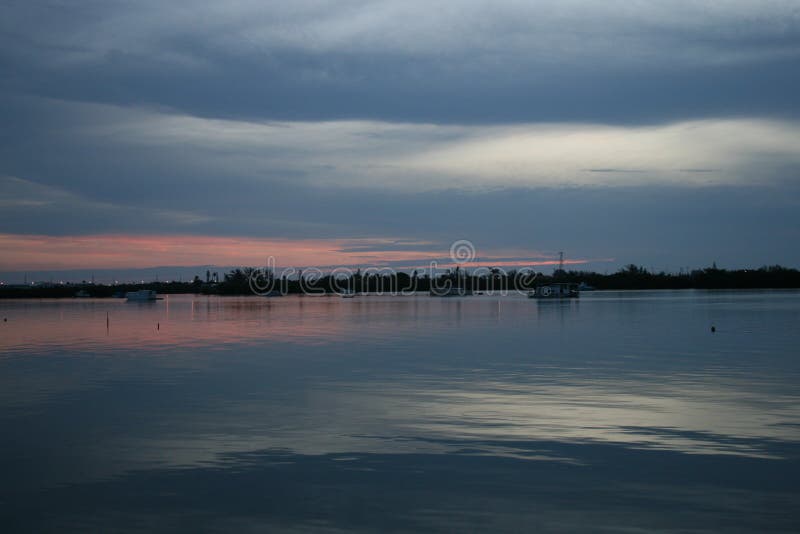 Cow Key Channel Stock Photos - Free & Royalty-Free Stock Photos from ...