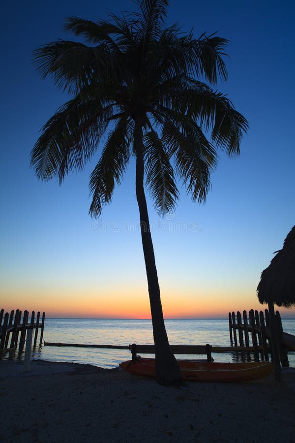 Key West Sunset stock image. Image of coconut, sunset - 24814035
