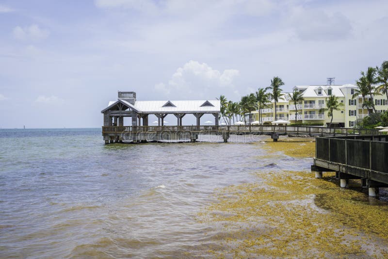 Key West View. Miami, Florida Stock Image - Image of people, beach ...