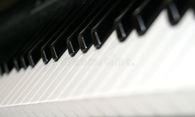 Keyboard stock photo. Image of instrument, musical, sound - 6952098