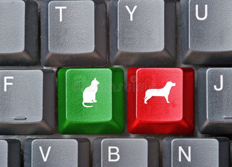 Keyboard with Hot Keys for Dog and Cat Stock Image - Image of closeup ...