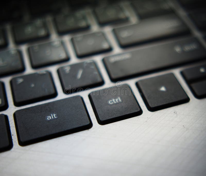 Profasional Work Stock Photos - Free & Royalty-Free Stock Photos from ...