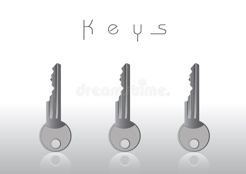 Three Blank Keys Stock Illustrations – 57 Three Blank Keys Stock ...