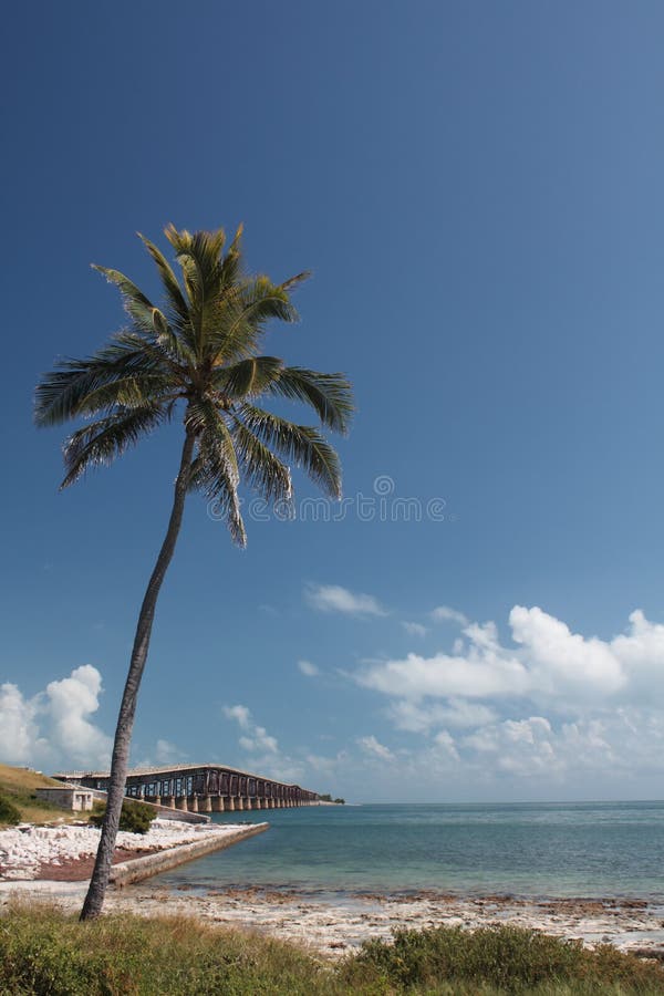 Keys Bridge Scenic stock photo. Image of shore, tropics - 95024954