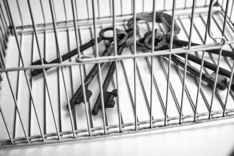 Keys locked in a cage stock photo. Image of penalty, bars - 98546290