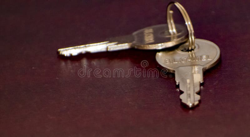 Keys Made with Stainless Steel Stock Image - Image of icon, flat: 173518825