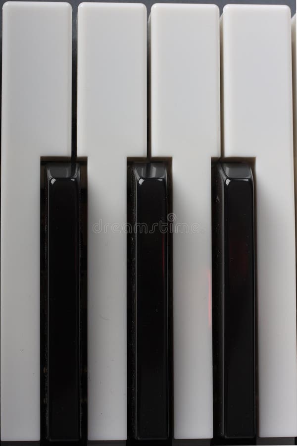 Piano keys stock image. Image of music, entertainer, grand - 7861255