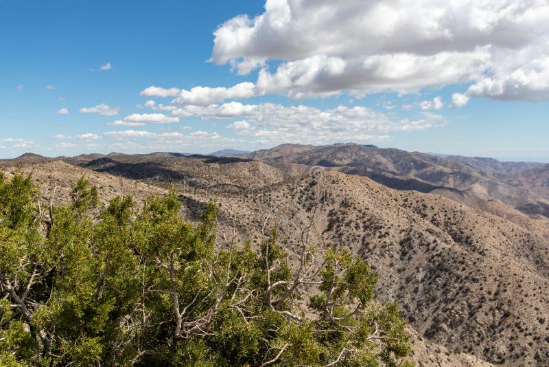 Keys View Clouds stock image. Image of nature, tree - 244775911