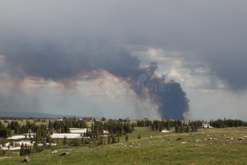 Keystone Wildfire Burning in Wyoming Stock Photo - Image of trees ...