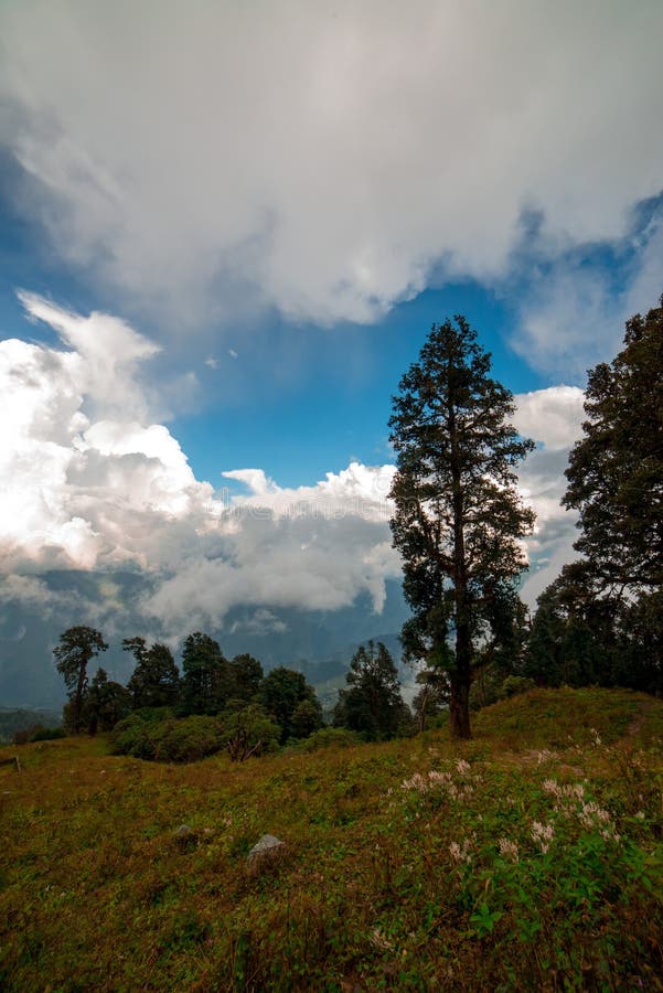 Khaliya Top Trek stock photo. Image of sanctuary, wildlife - 129460026