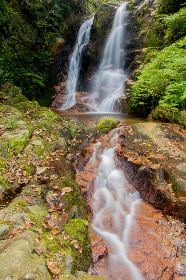 Khao Yan waterfall stock image. Image of leaves, waterfall - 91972521