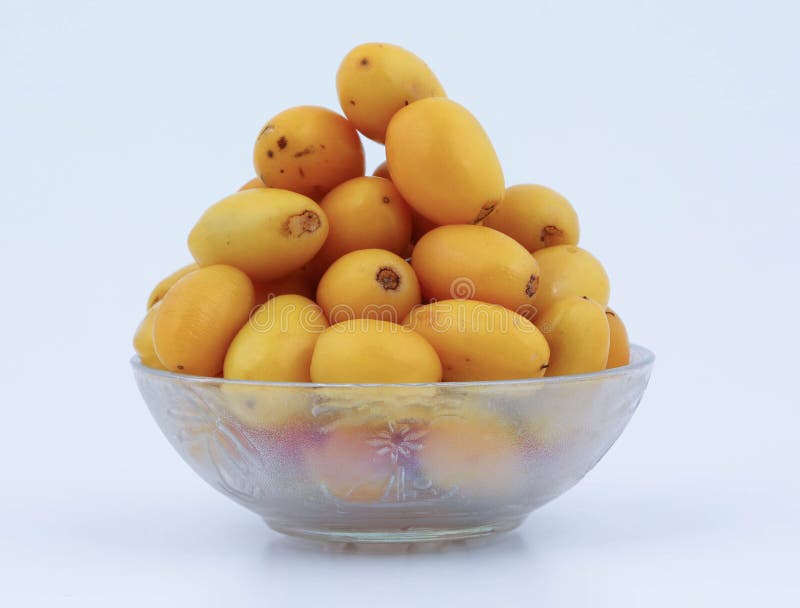 Khirni/Rayan Mimusops foto de stock. Imagem de suculento - 90420330