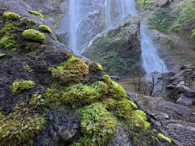 Khlonglan Waterfall with Moss in Rainforest Stock Photo - Image of ...