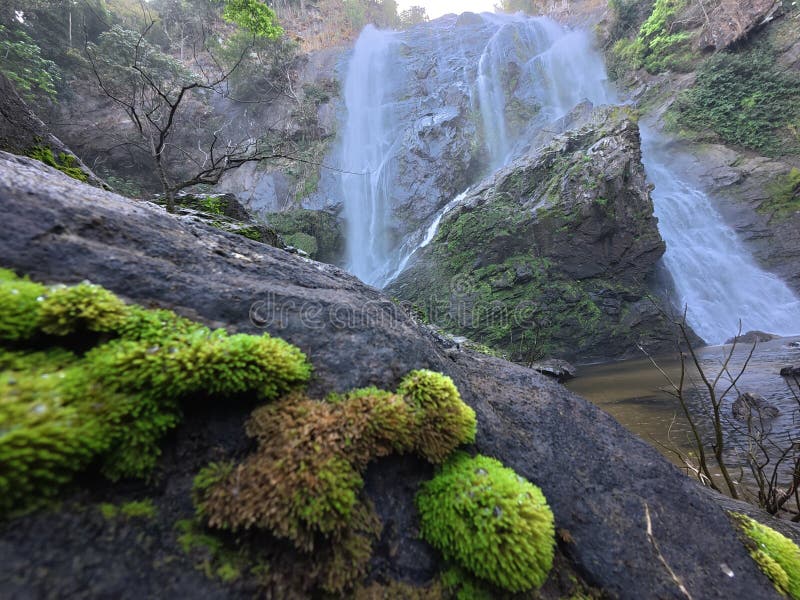 Khlonglan Waterfall with Moss in Rainforest Stock Photo - Image of ...