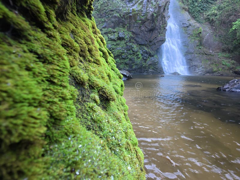 Khlonglan Waterfall with Moss in Rainforest Stock Image - Image of lush ...
