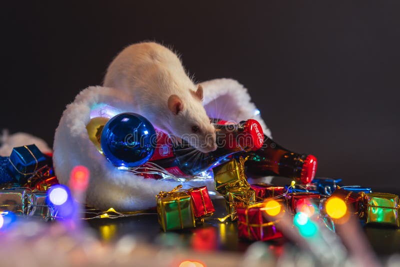 Khmelnytskyi, Ukraine - December 13, 2019: Coca-Cola Classic in a Glass ...