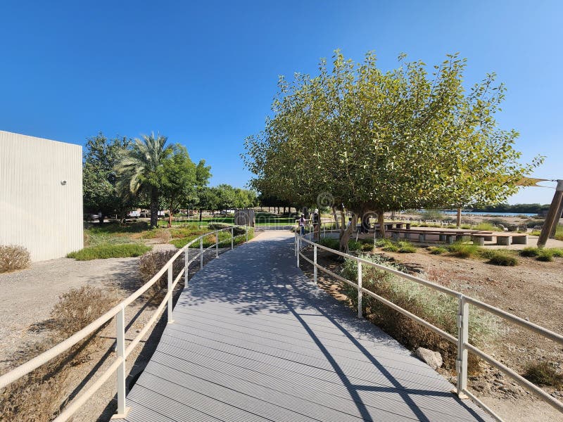 Khor Kalba Mangrove Center, Kalba, Sharjah, UAE Stock Photo - Image of ...