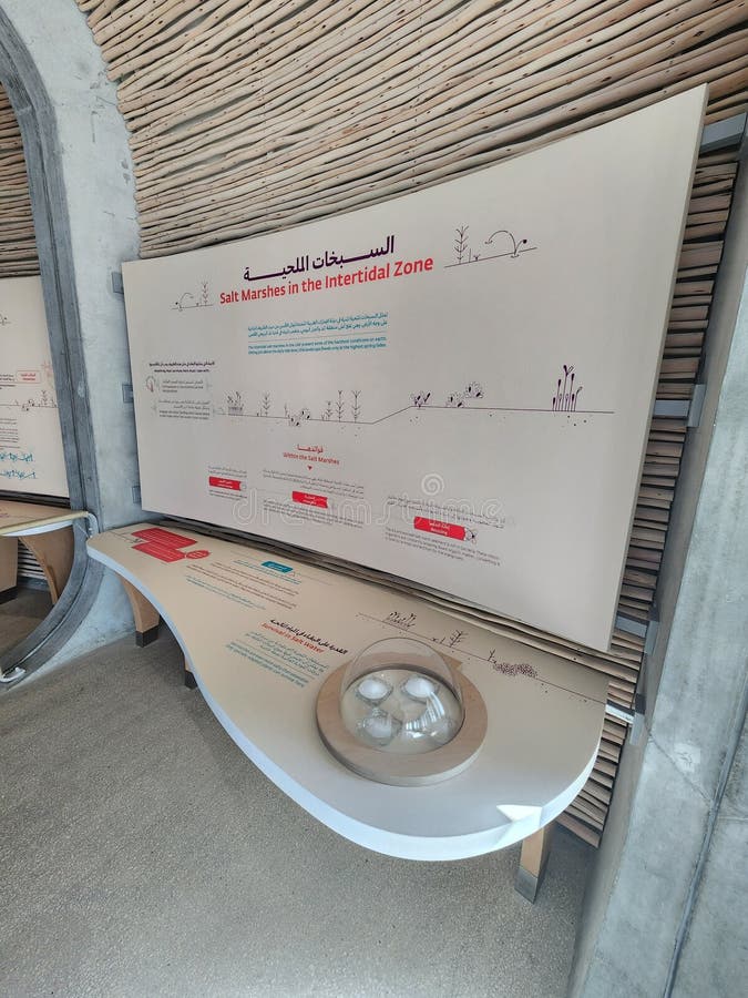 Khor Kalba Mangrove Center, Kalba, Sharjah, UAE Stock Photo - Image of ...