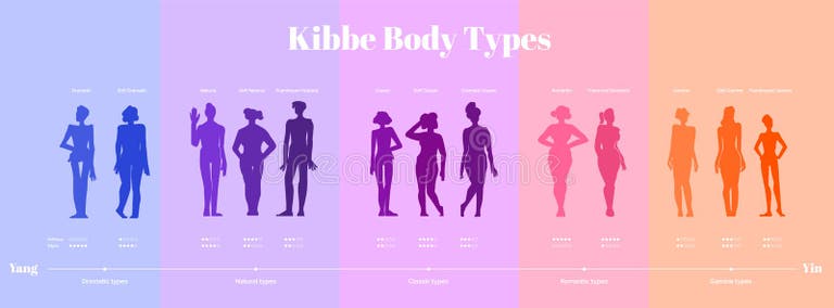 13 Kibbe body types stock vector. Illustration of styling - 209577531