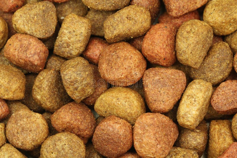 Kibble pet food background stock image. Image of pieces - 59608763