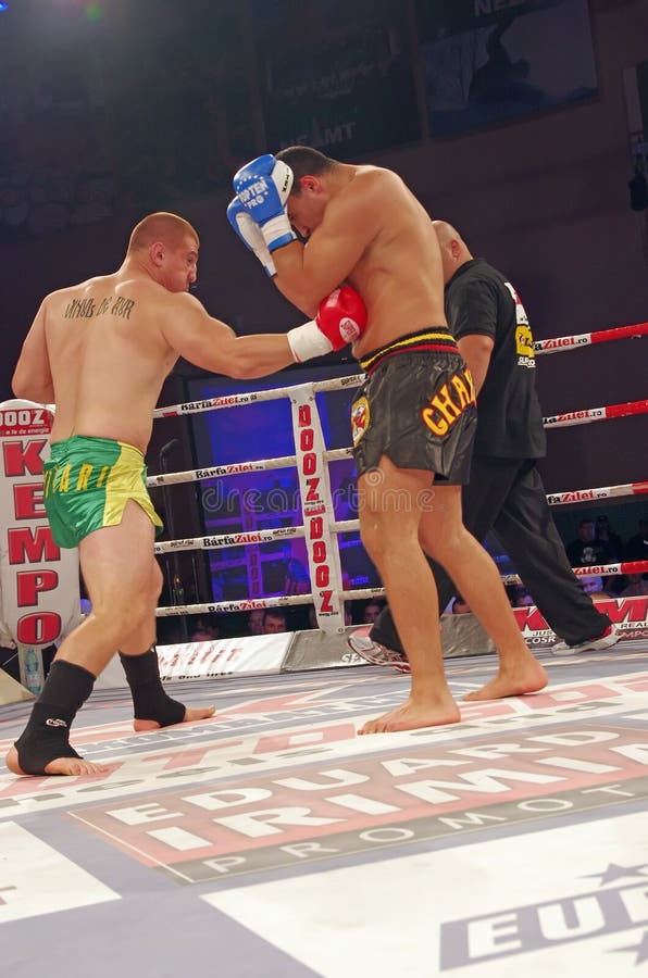 Kickboxing Champion Belt (Wako Pro, 65 Kg) Editorial Photo - Image of ...