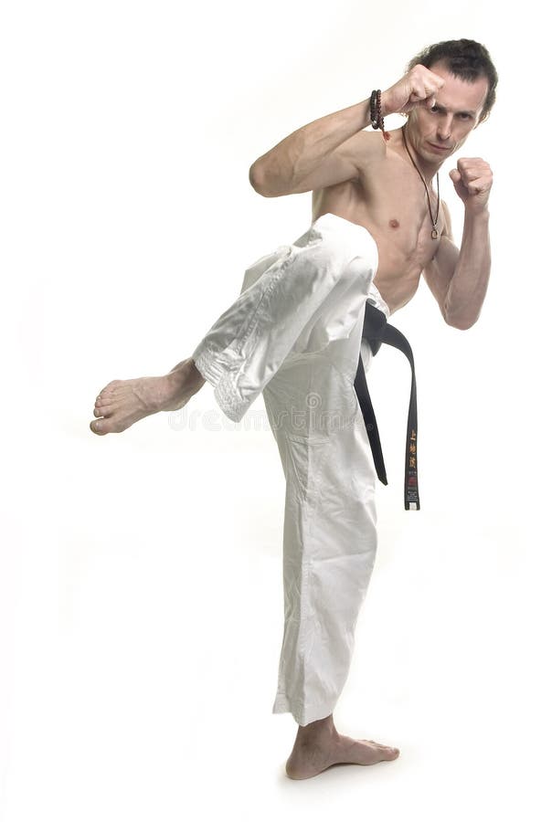 High kick pose stock photo. Image of sport, martial, fight - 9300808