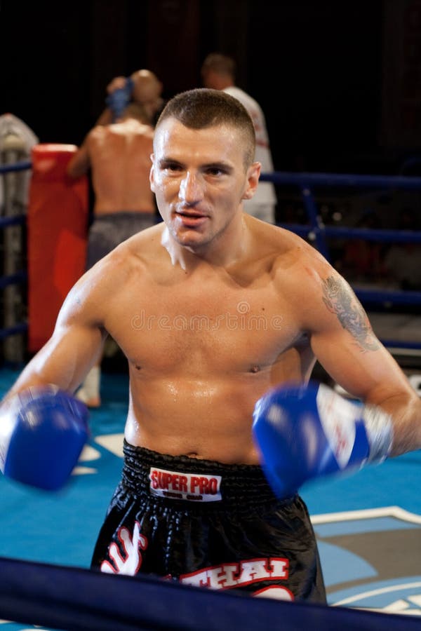 Kick-boxer editorial photo. Image of hard, brawl, bicep - 23125026