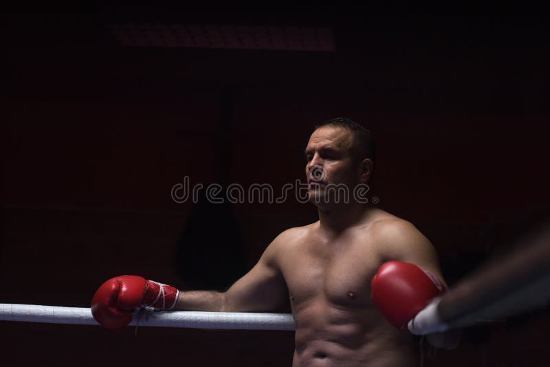 Kick Boxer Resting on the Ropes in the Corner Stock Image - Image of ...