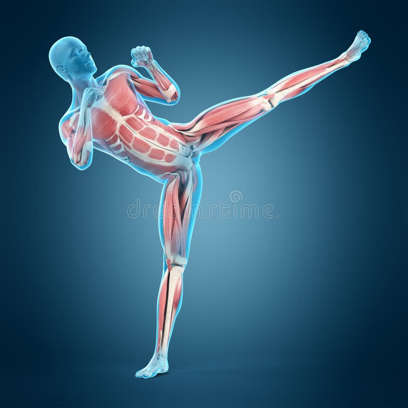 A kick boxing pose stock illustration. Illustration of concept - 74187889