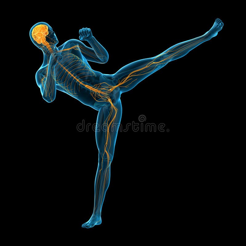 A kick boxing pose stock illustration. Illustration of black - 74192473