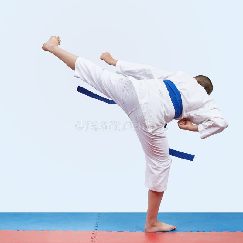 1,002 Karate Boy Kick Leg Stock Photos - Free & Royalty-Free Stock ...