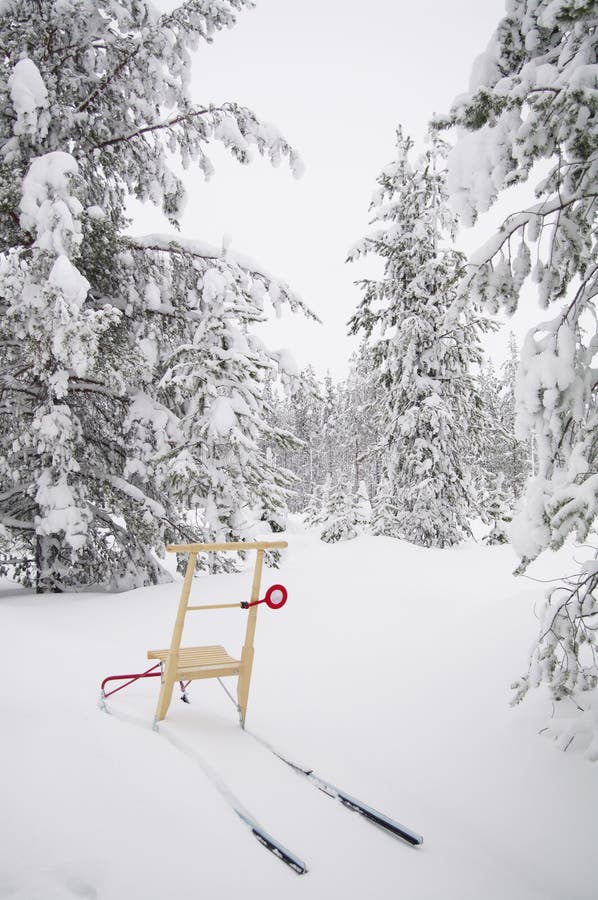 Kick off sled in Sweden stock image. Image of twilight - 23489171
