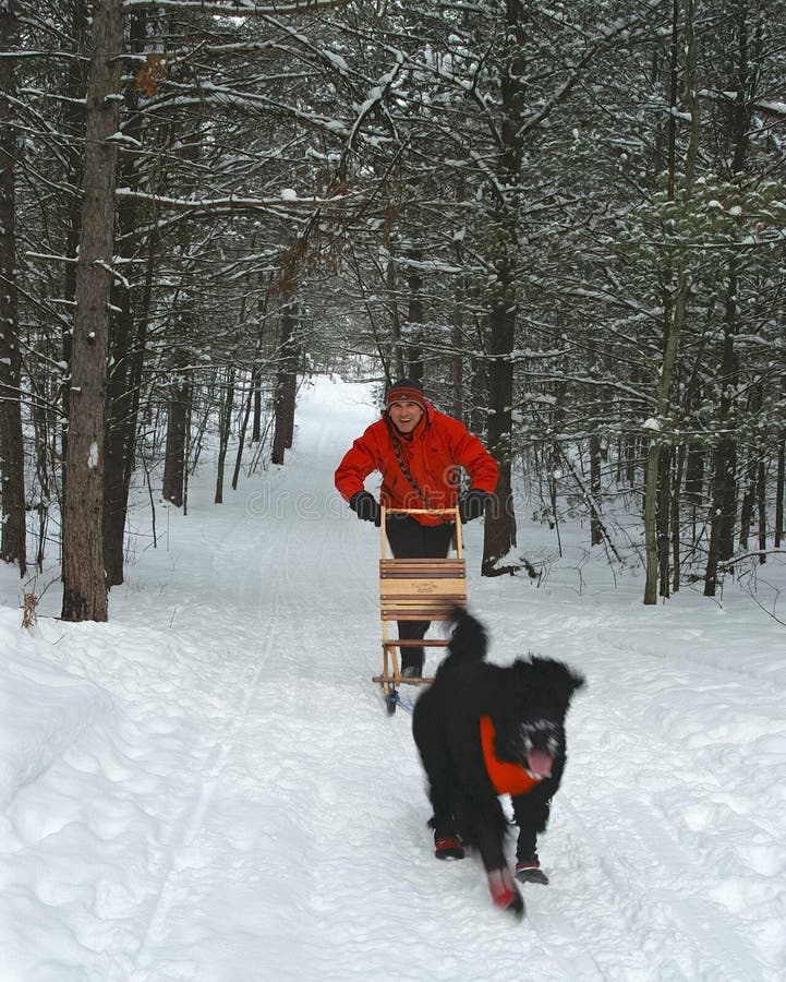 Kick Sled Rules the Trail stock image. Image of balance - 4110655